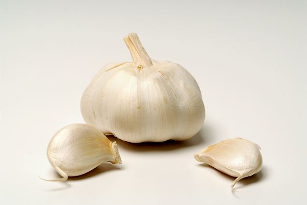 Ails / Oignons - AG für Fruchthandel safruits